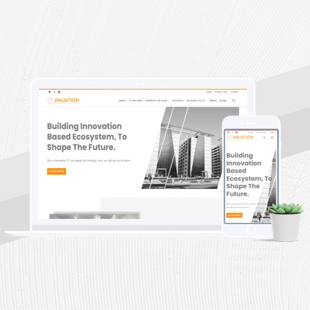 Portfolio | Anuation Labs